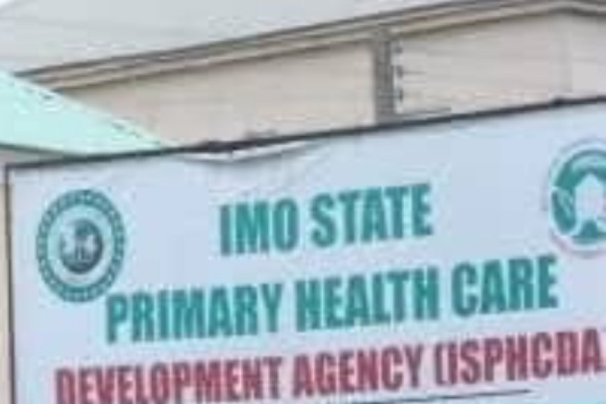 The State of Primary Healthcare System in Imo State - Omalicha Media ...